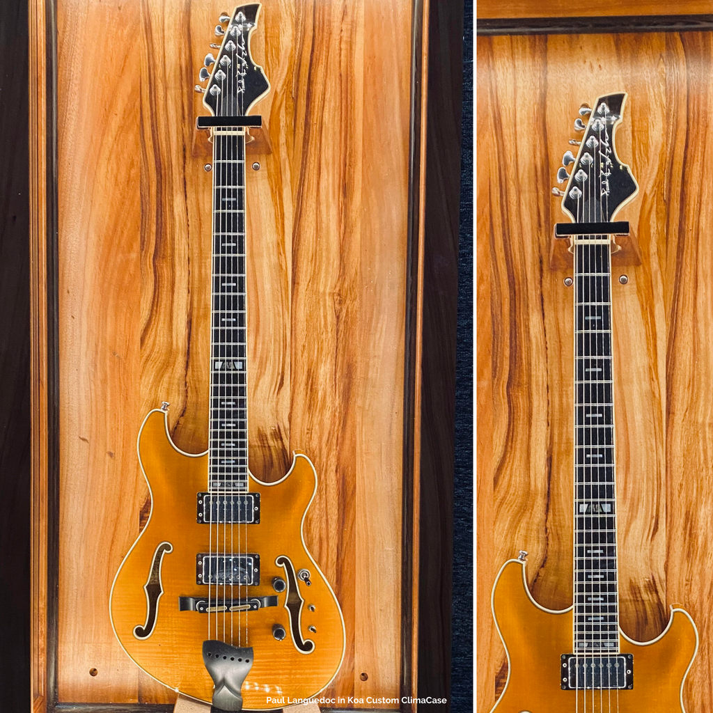 Acoustic Remedy | Humidified Instrument Display Cabinets/Stands/Cases