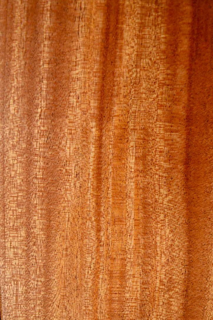 African Mahogany Texture